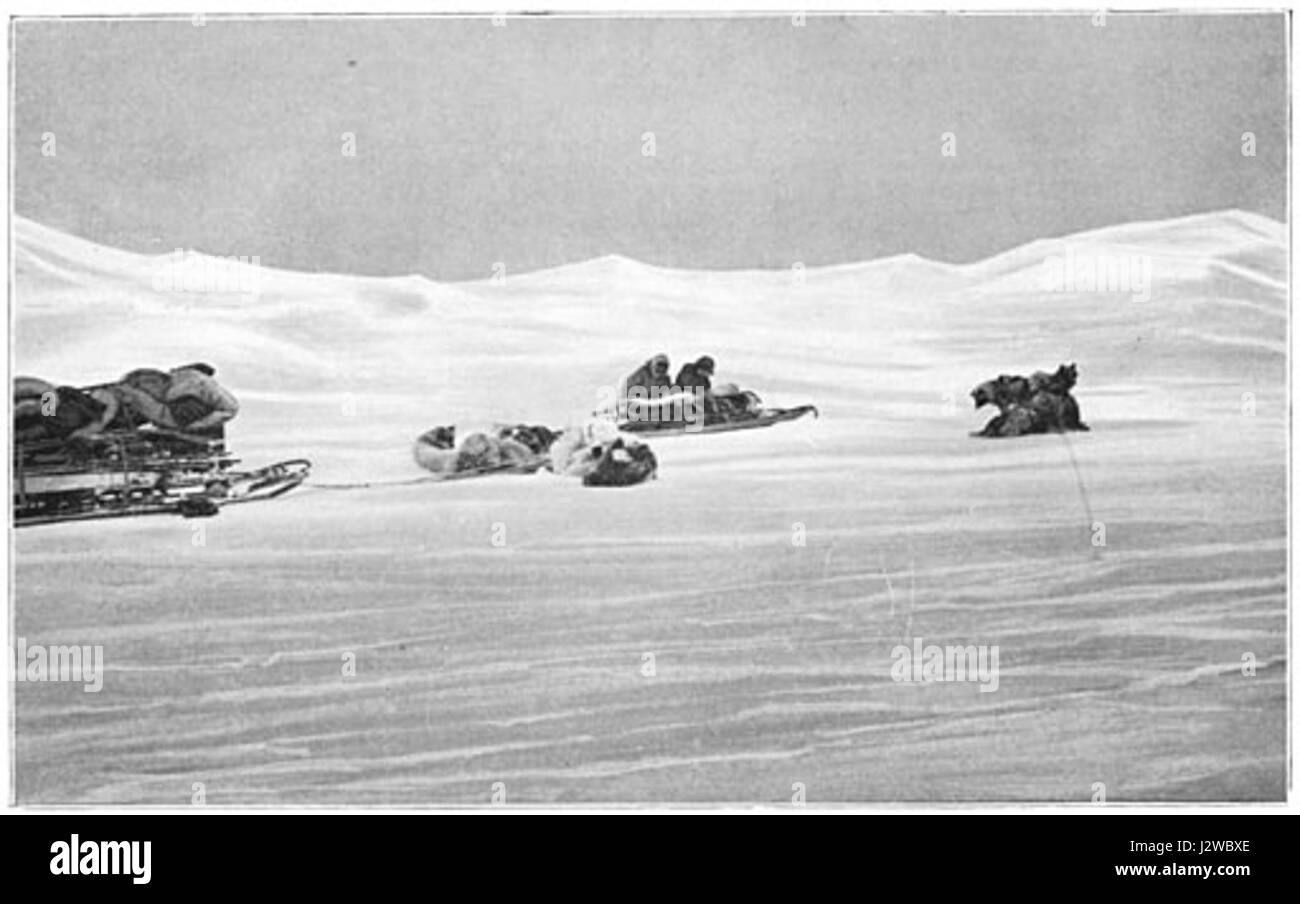 Zuidpool hi-res stock photography and images - Alamy