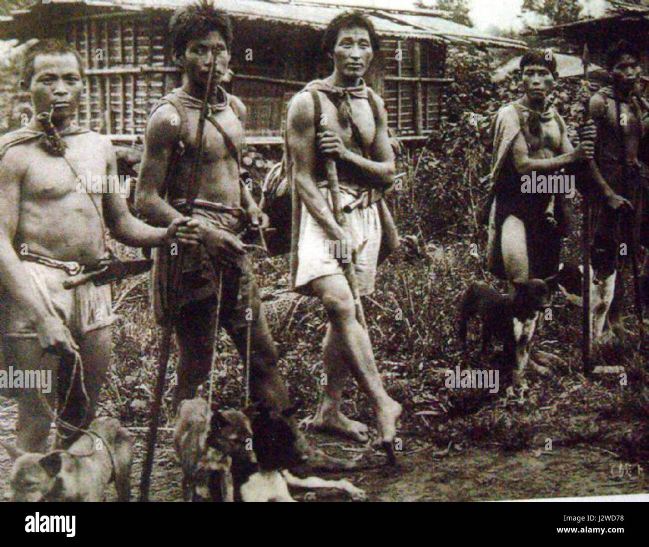 Aboriginal with formosan dog Stock Photo - Alamy