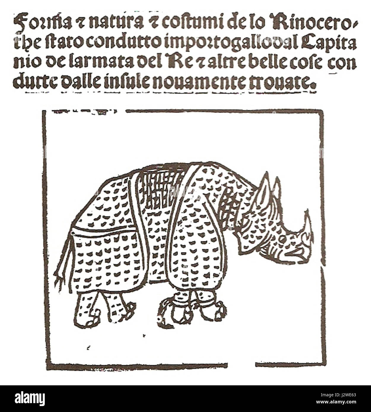 Example renaissance Cut Out Stock Images & Pictures - Alamy