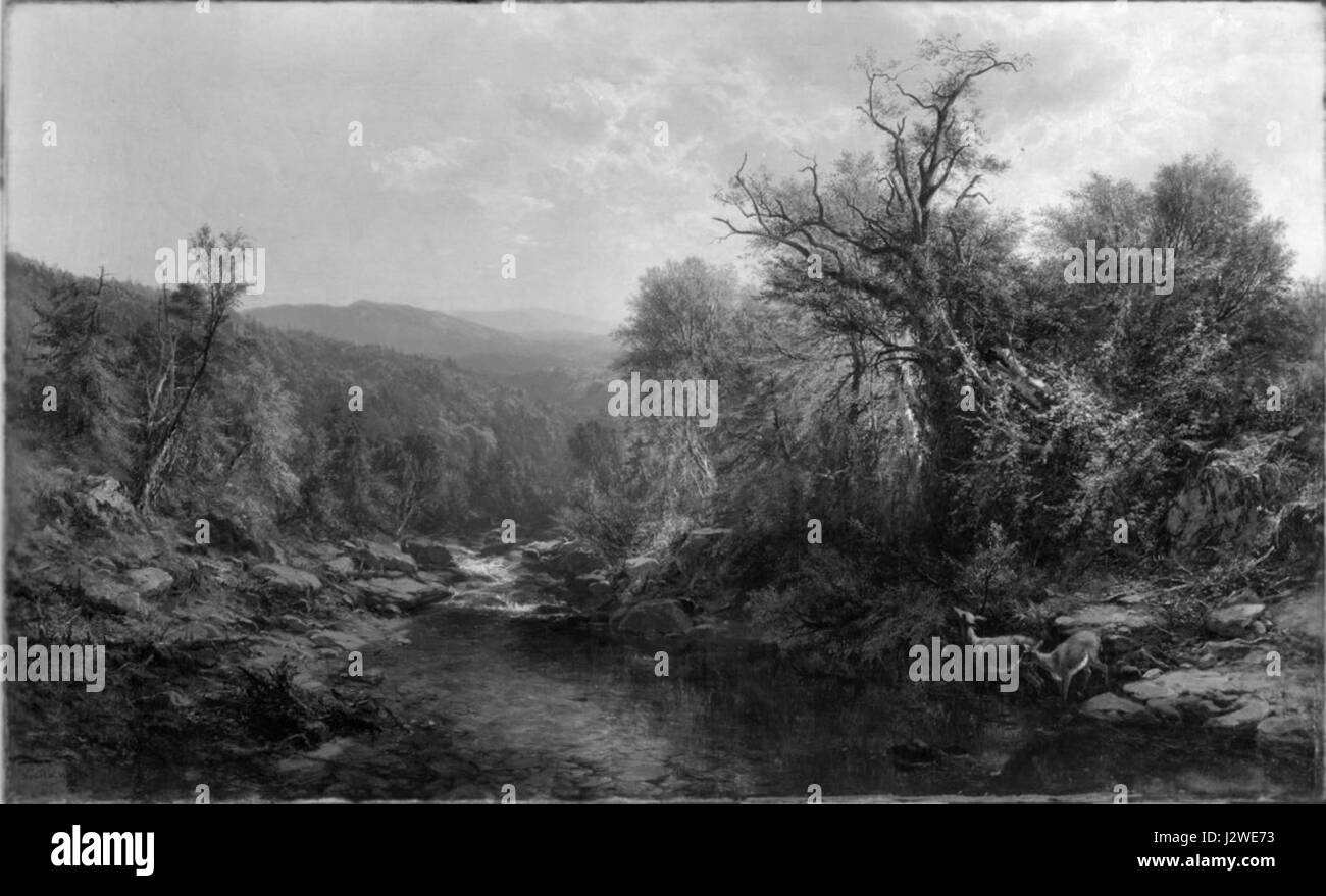 Adirondack mountains forest Black and White Stock Photos & Images - Alamy