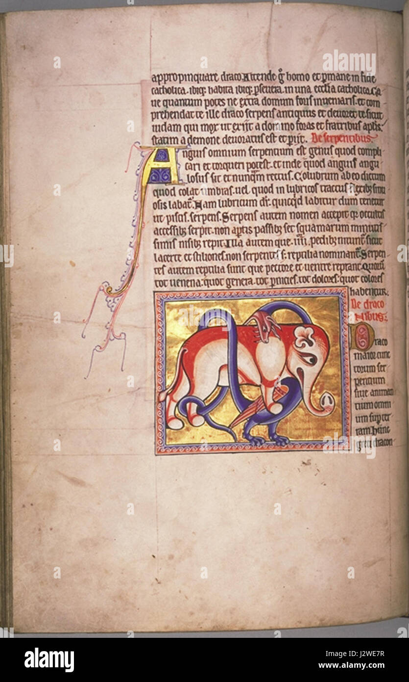 Manuscript dragon hi-res stock photography and images - Alamy