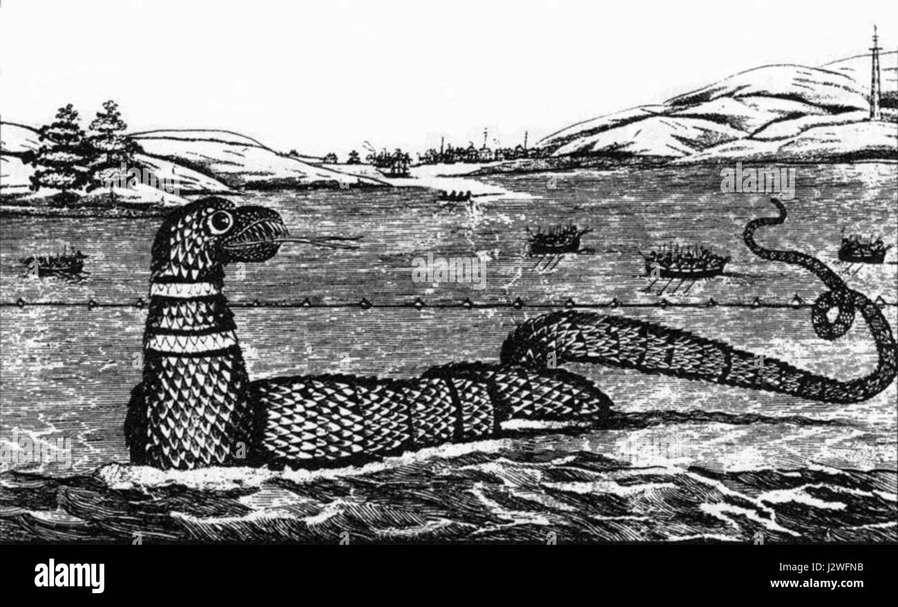 Sea Serpent Illustration Black and White Stock Photos & Images - Alamy