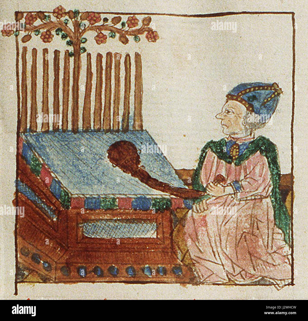 Aaron's Flowering Rod Stock Photo - Alamy