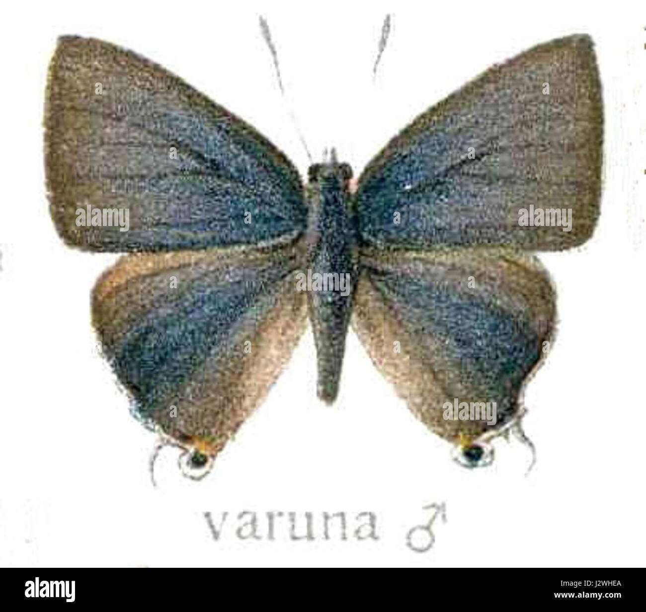 Relevant records Cut Out Stock Images & Pictures - Alamy