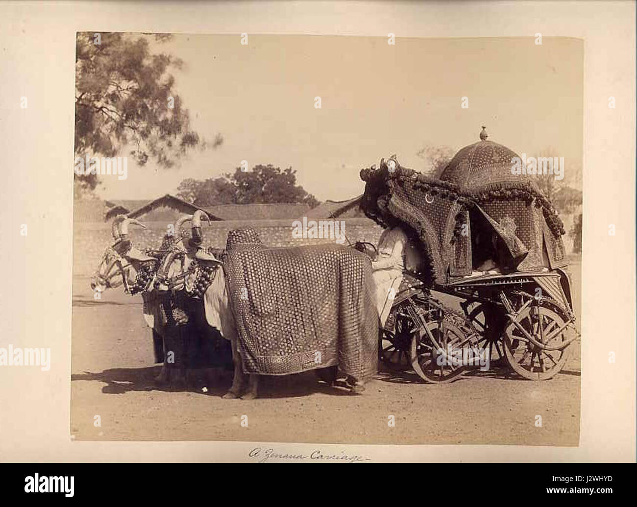 A Zenana Carriage Stock Photo - Alamy