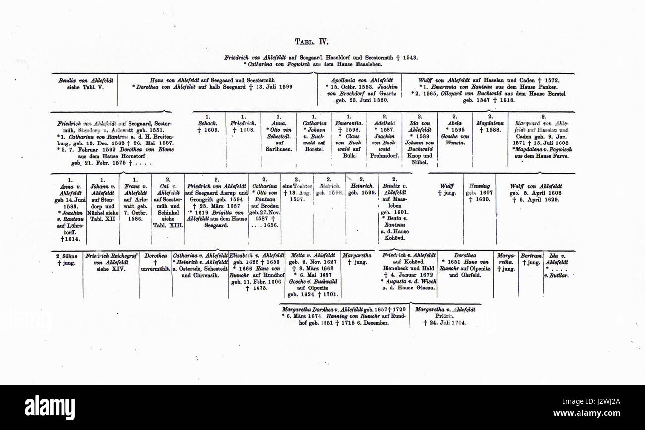 Family tree genealogy Cut Out Stock Images & Pictures - Alamy