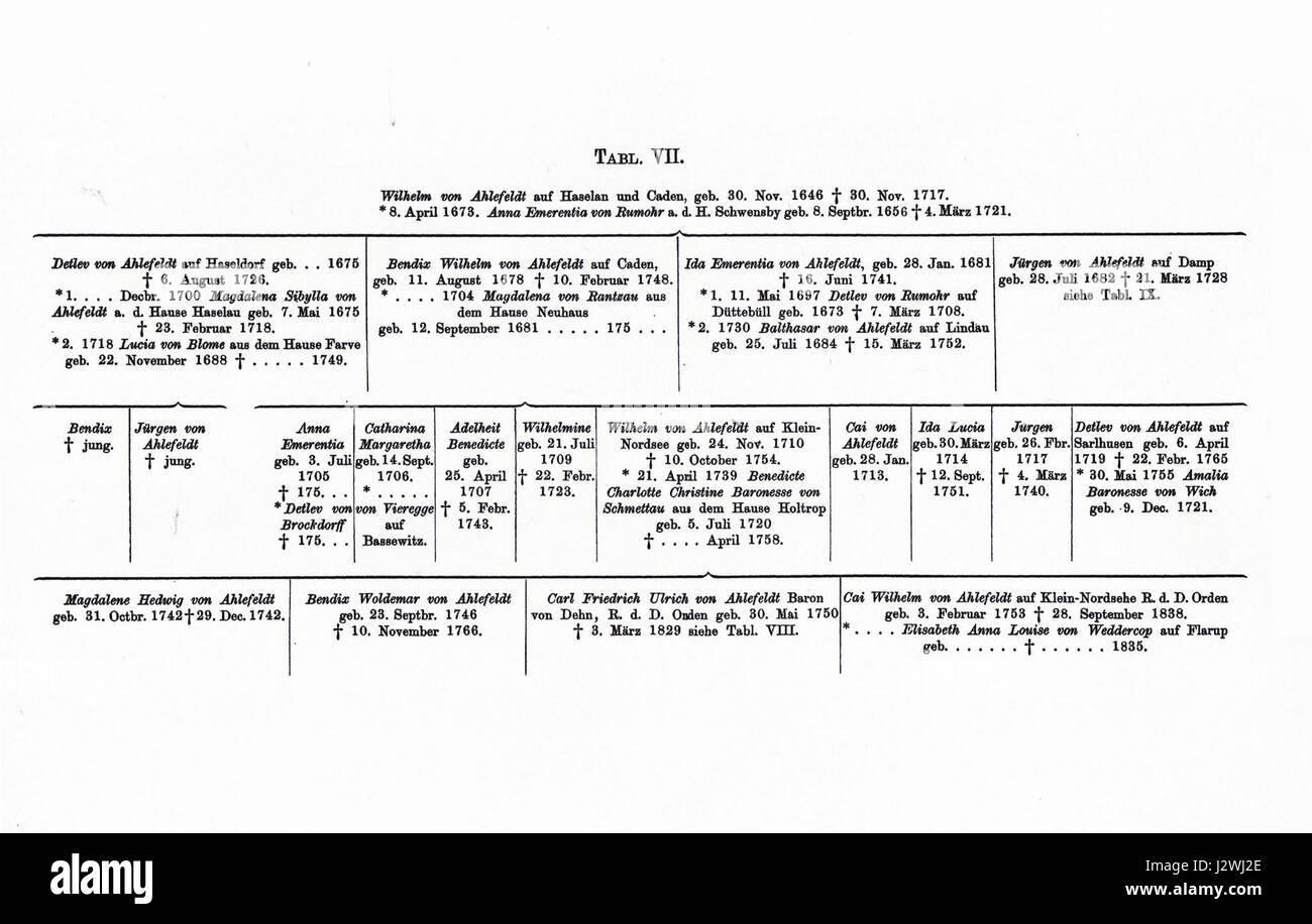Family tree genealogy Cut Out Stock Images & Pictures - Alamy