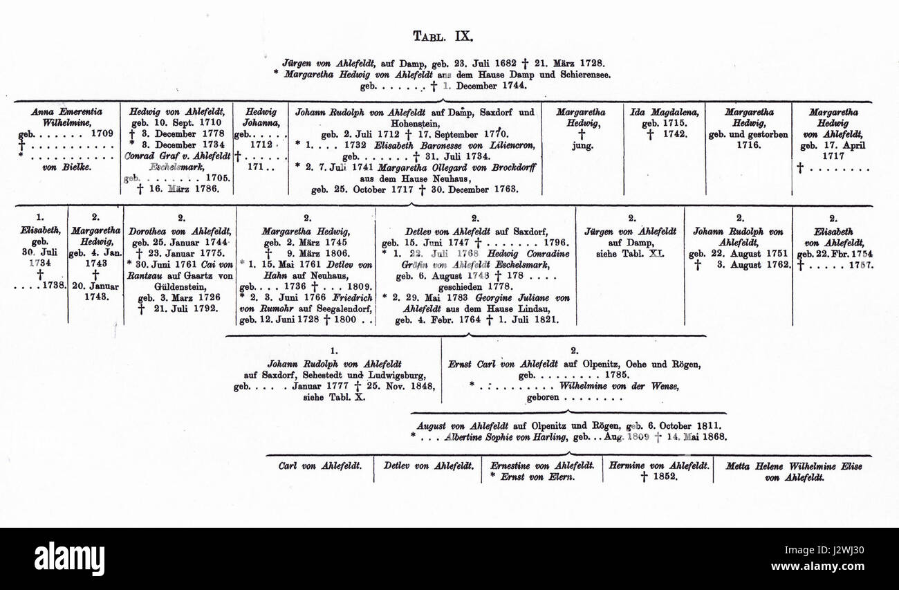 Family tree genealogy Cut Out Stock Images & Pictures - Alamy