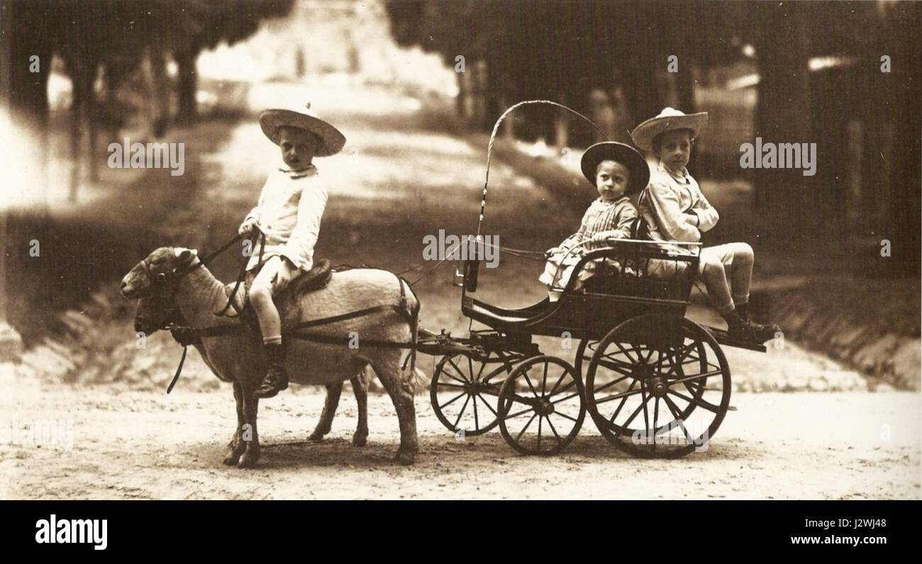 Brazilian royal family hi-res stock photography and images - Alamy
