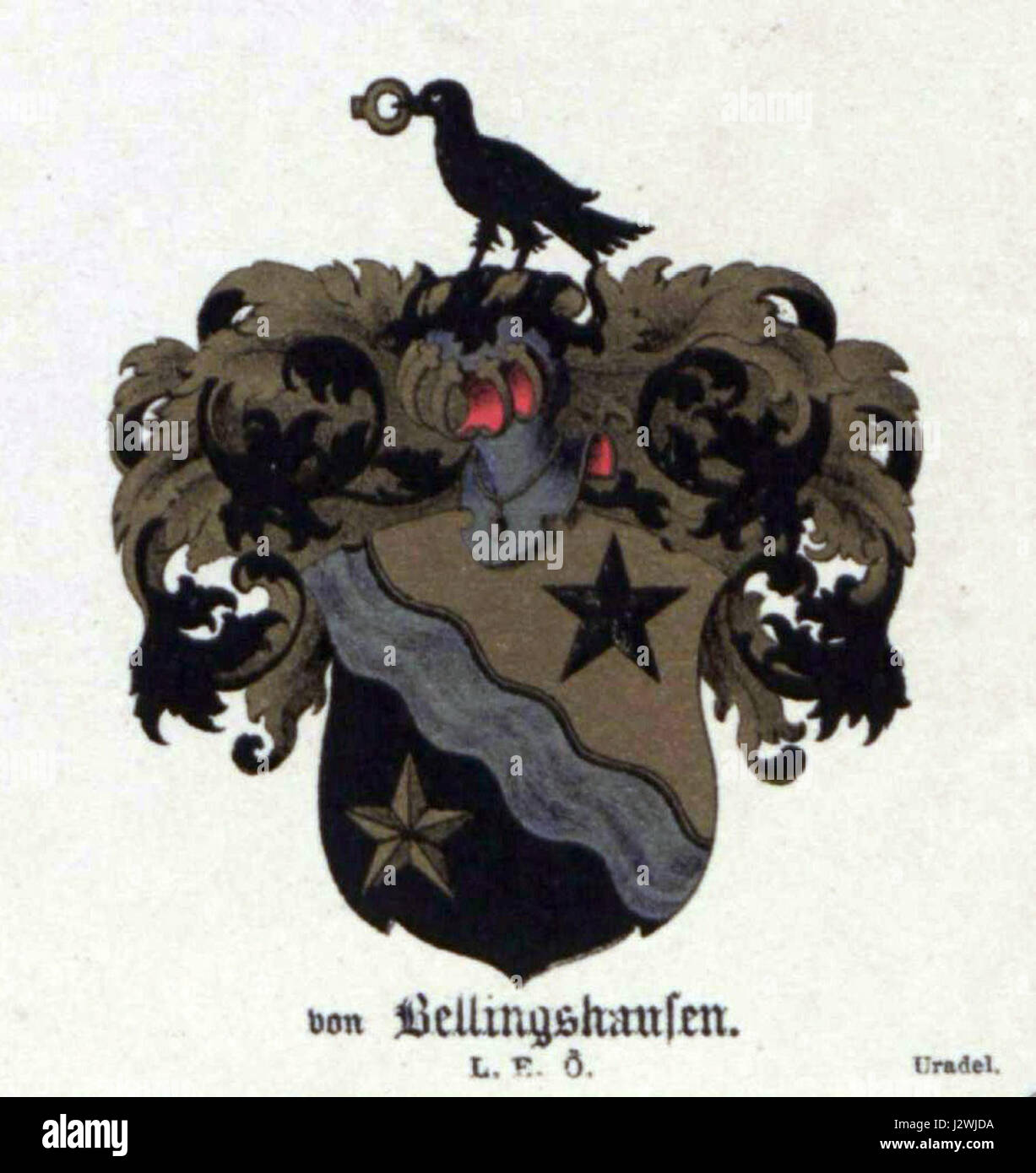 Bellingshausen hi-res stock photography and images - Alamy