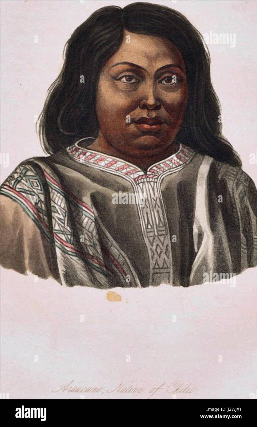 Araucano refers to a breed of chicken originating in Chile, known for ...