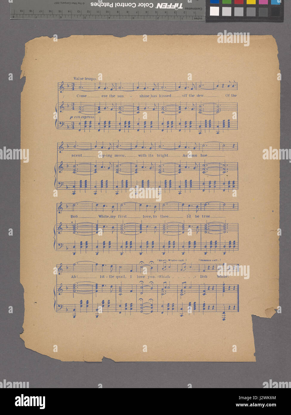 Bob White - Quail Song is a recording that captures the distinctive ...