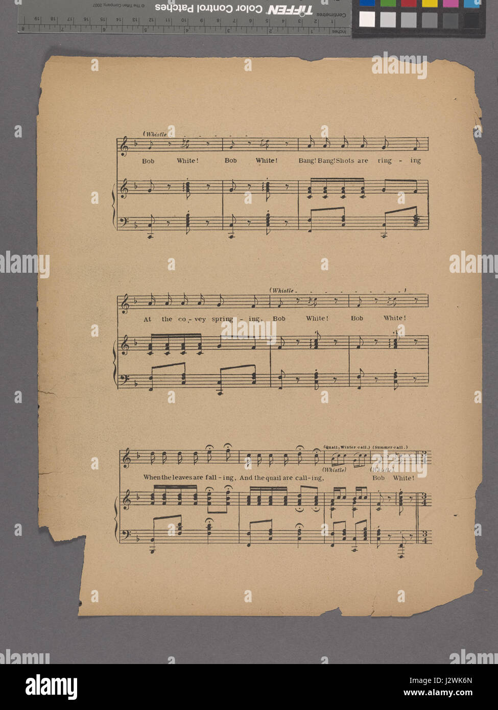 Bob White - Quail Song is a well-known call of the Northern Bobwhite ...