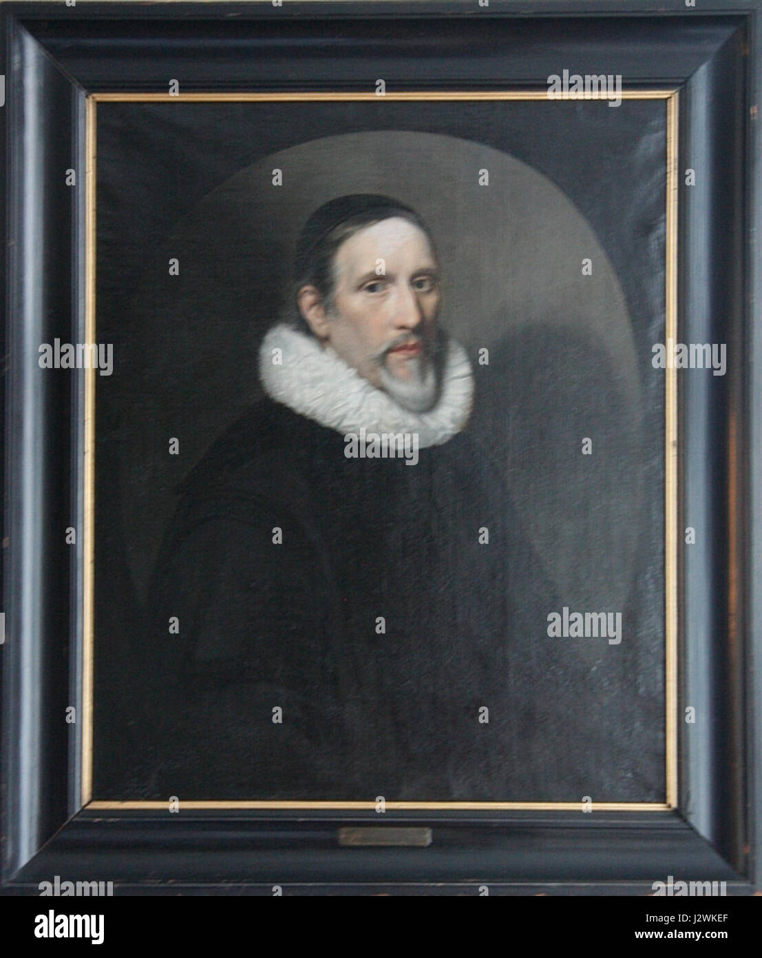 Arnoldus Geesteranus was a Dutch botanist and physician who made ...