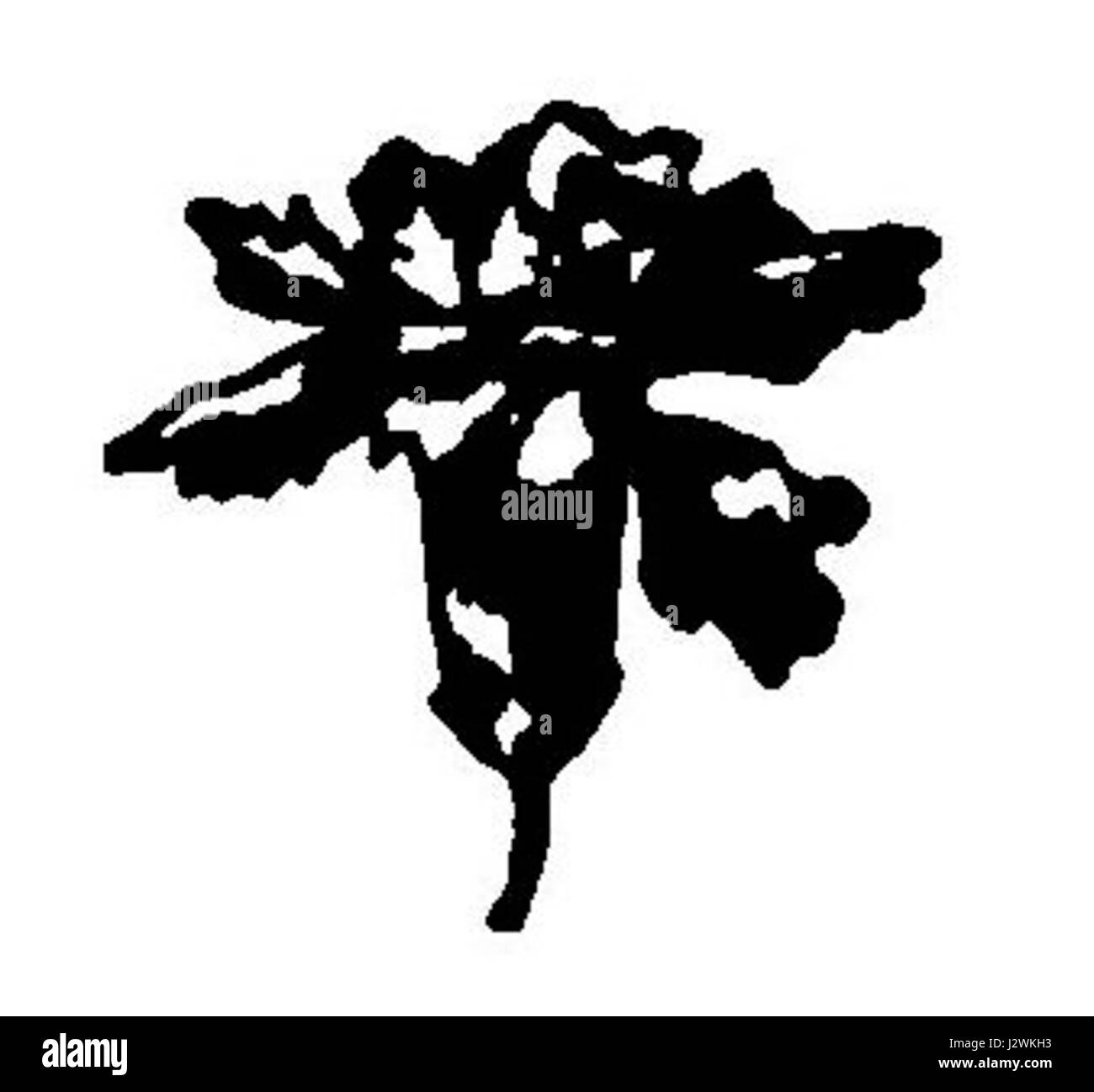 Local people from traditional Cut Out Stock Images & Pictures - Alamy