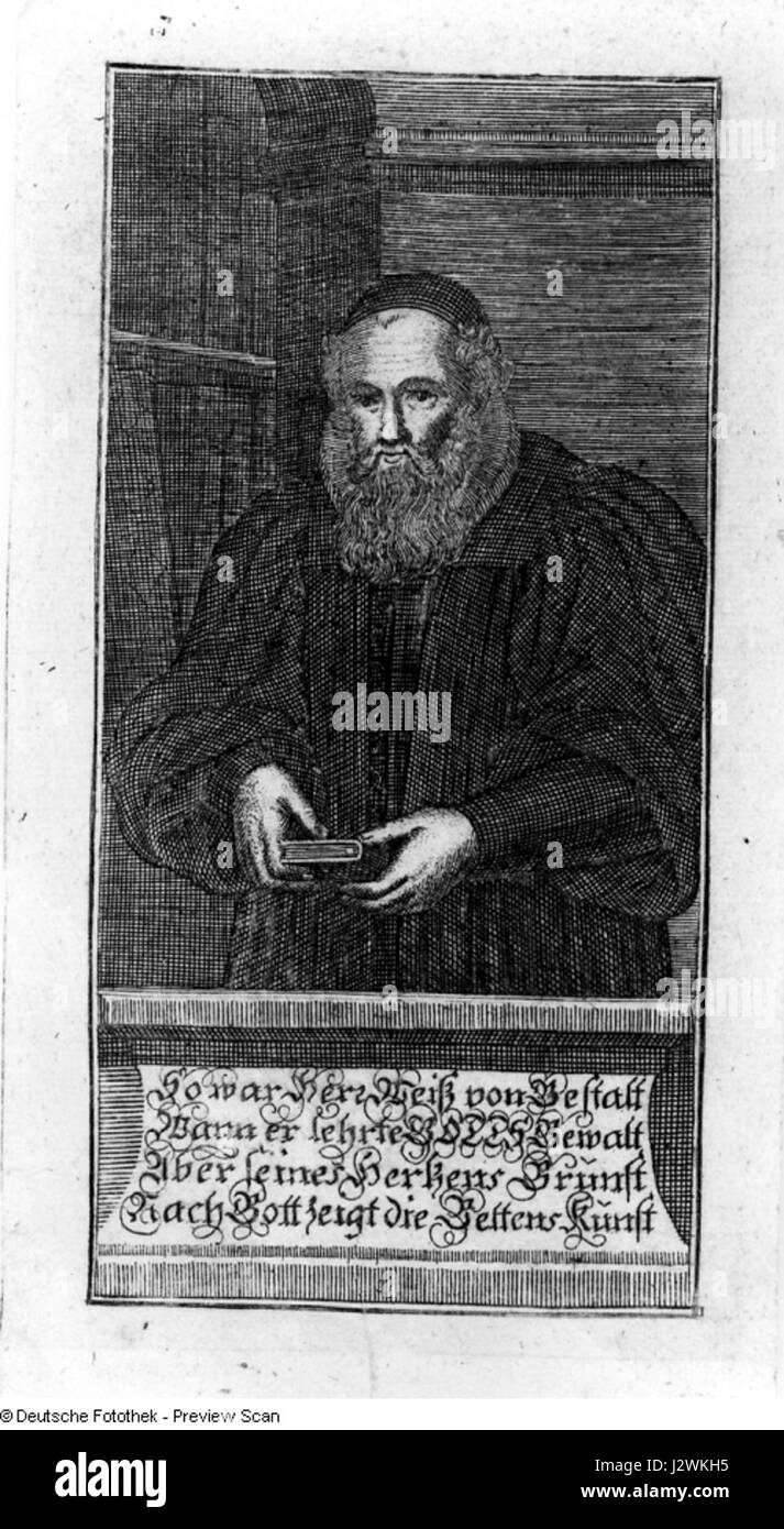 Albinus illustration hi-res stock photography and images - Alamy