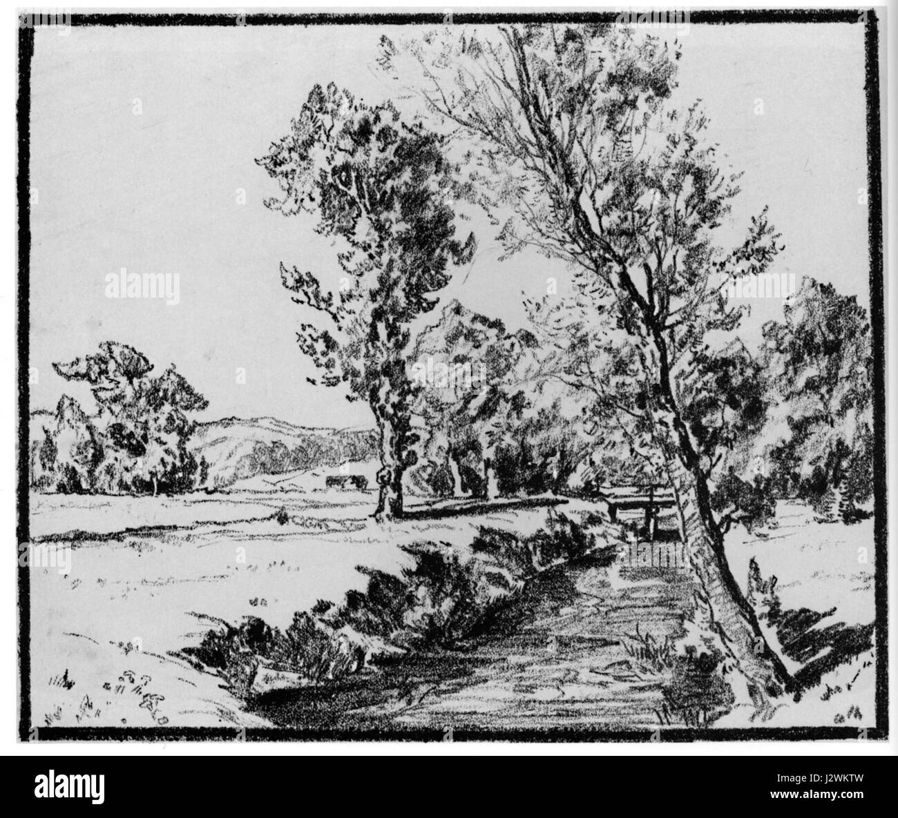 Greenery reflections Black and White Stock Photos & Images - Alamy