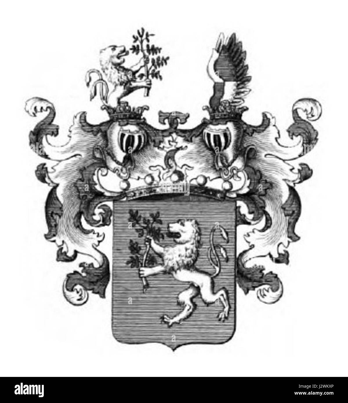 This title refers to the heraldic coat of arms (Wappen) of the Brunicki ...