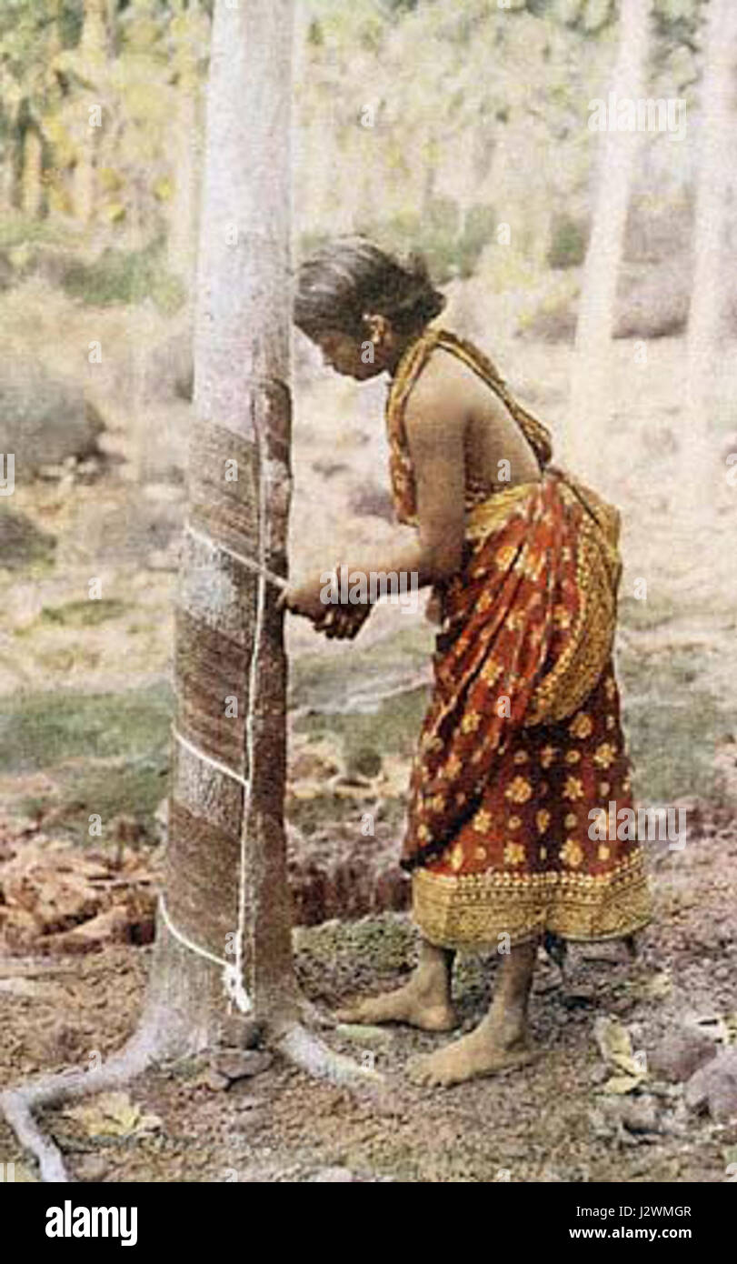 Ceylon rubber refers to the rubber industry in Ceylon (now Sri Lanka ...