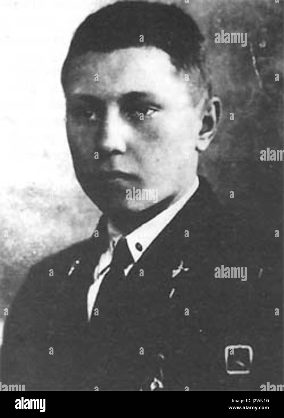 Pokryshkin hi-res stock photography and images - Alamy