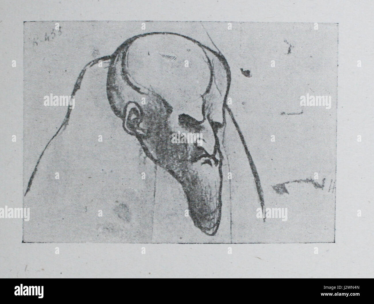 A drawing by the artist Bertrand, showcasing the unique artistic style ...