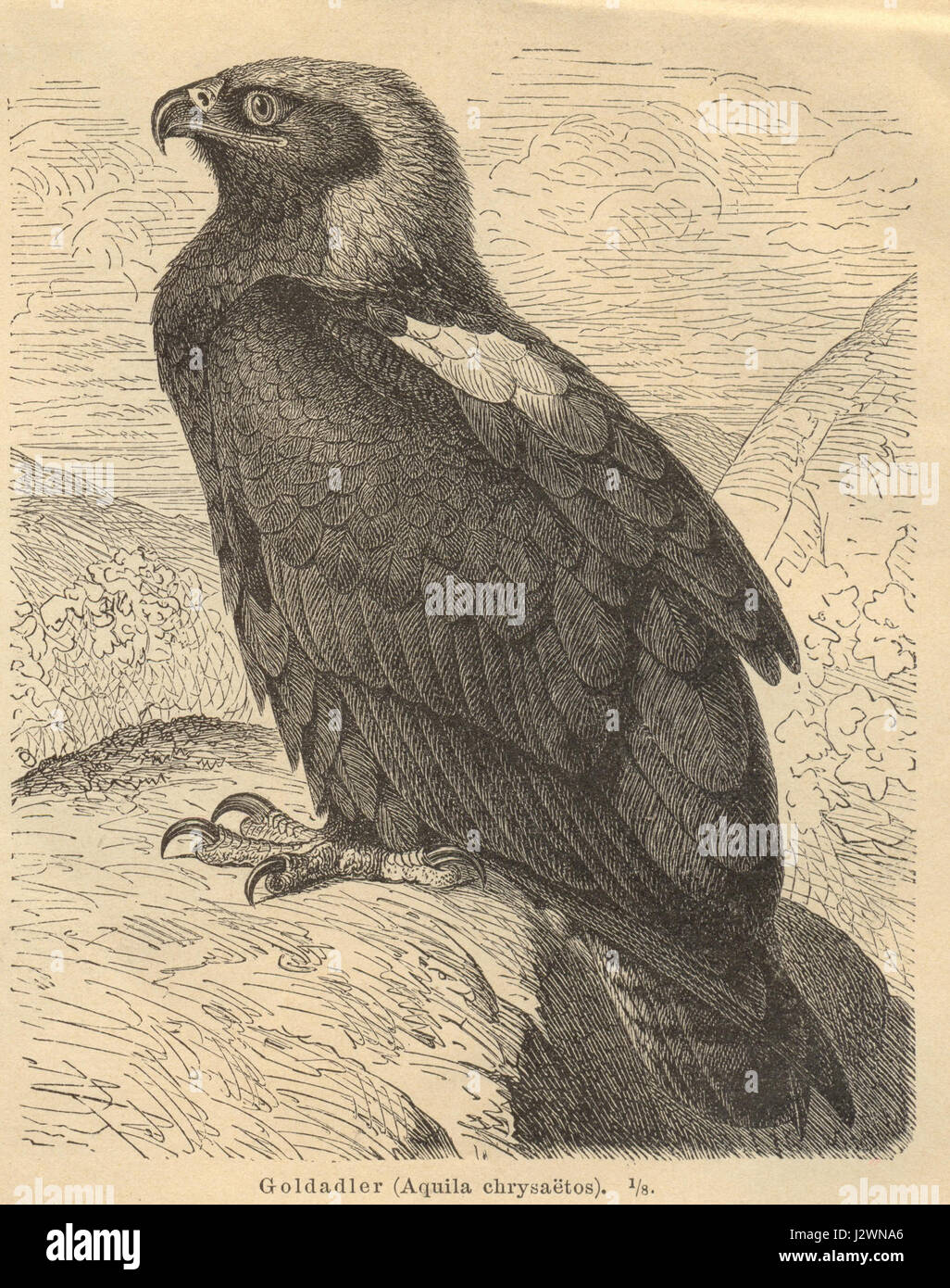 Aquila map hi-res stock photography and images - Alamy