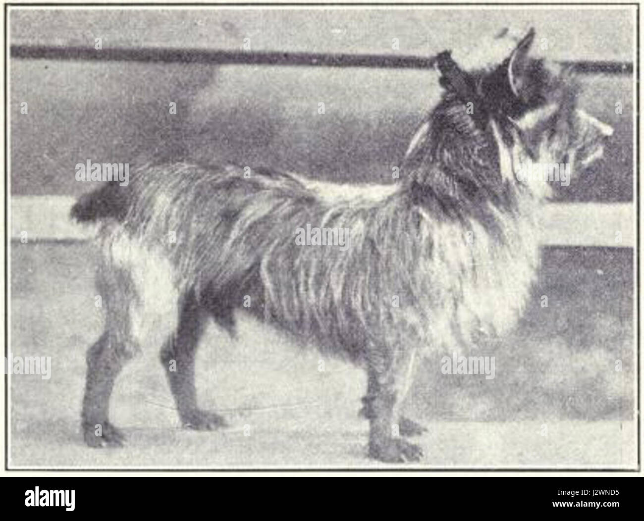 Circa 1915 hi-res stock photography and images - Alamy