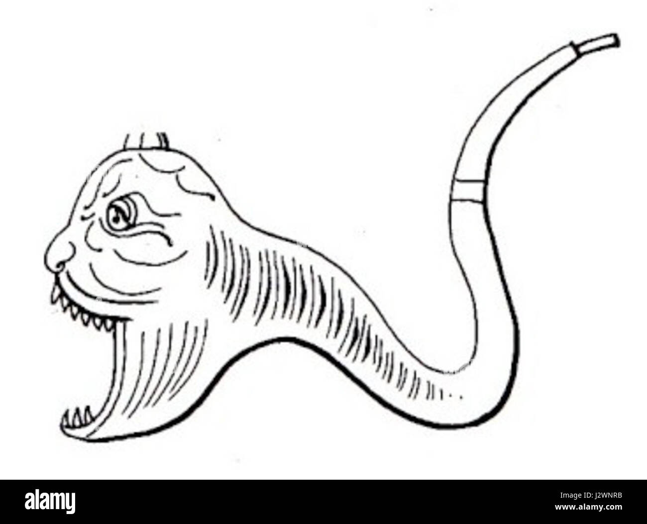 Dragon fantasy creature Cut Out Stock Images & Pictures - Alamy