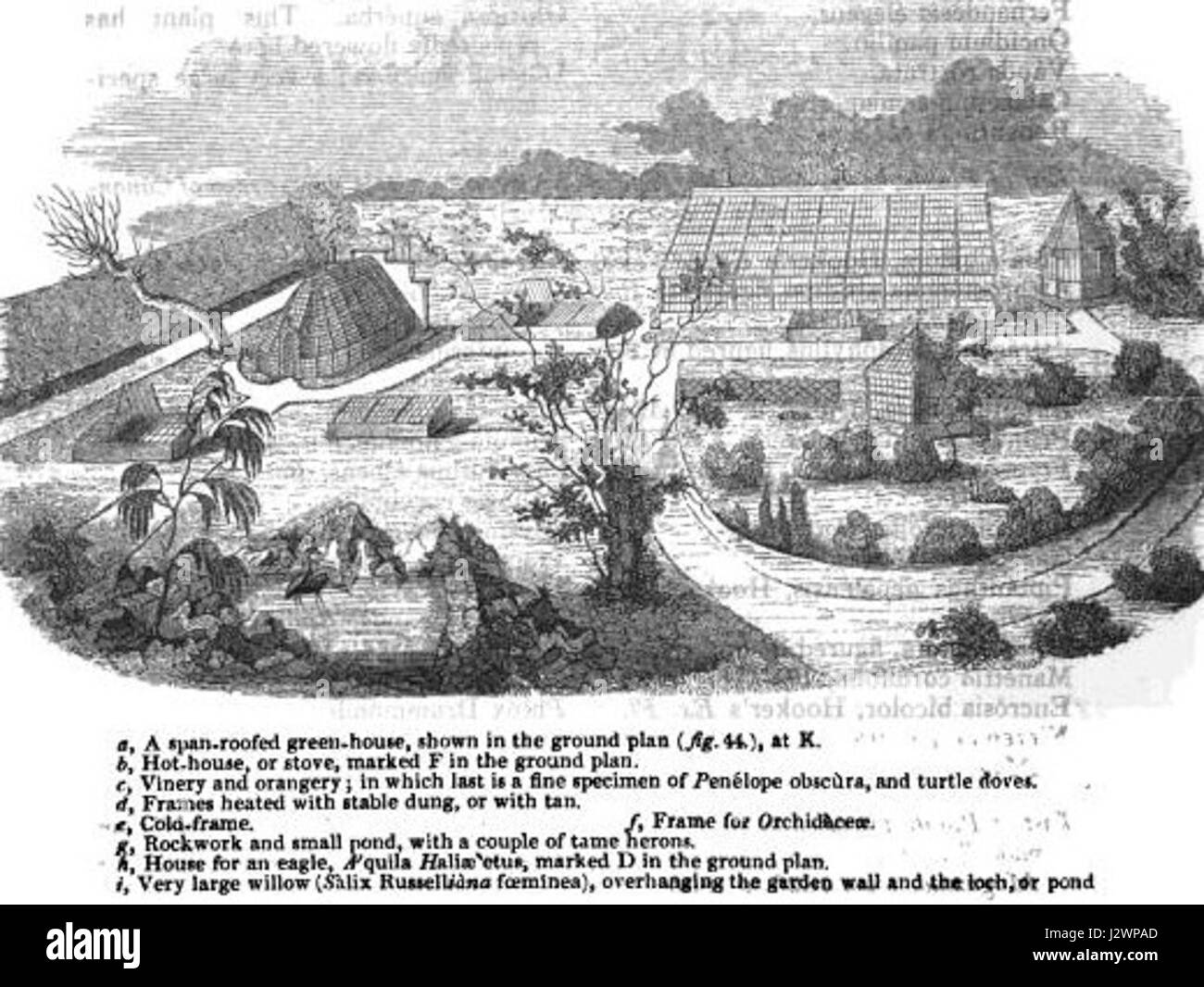 Typical cottage Black and White Stock Photos & Images - Alamy