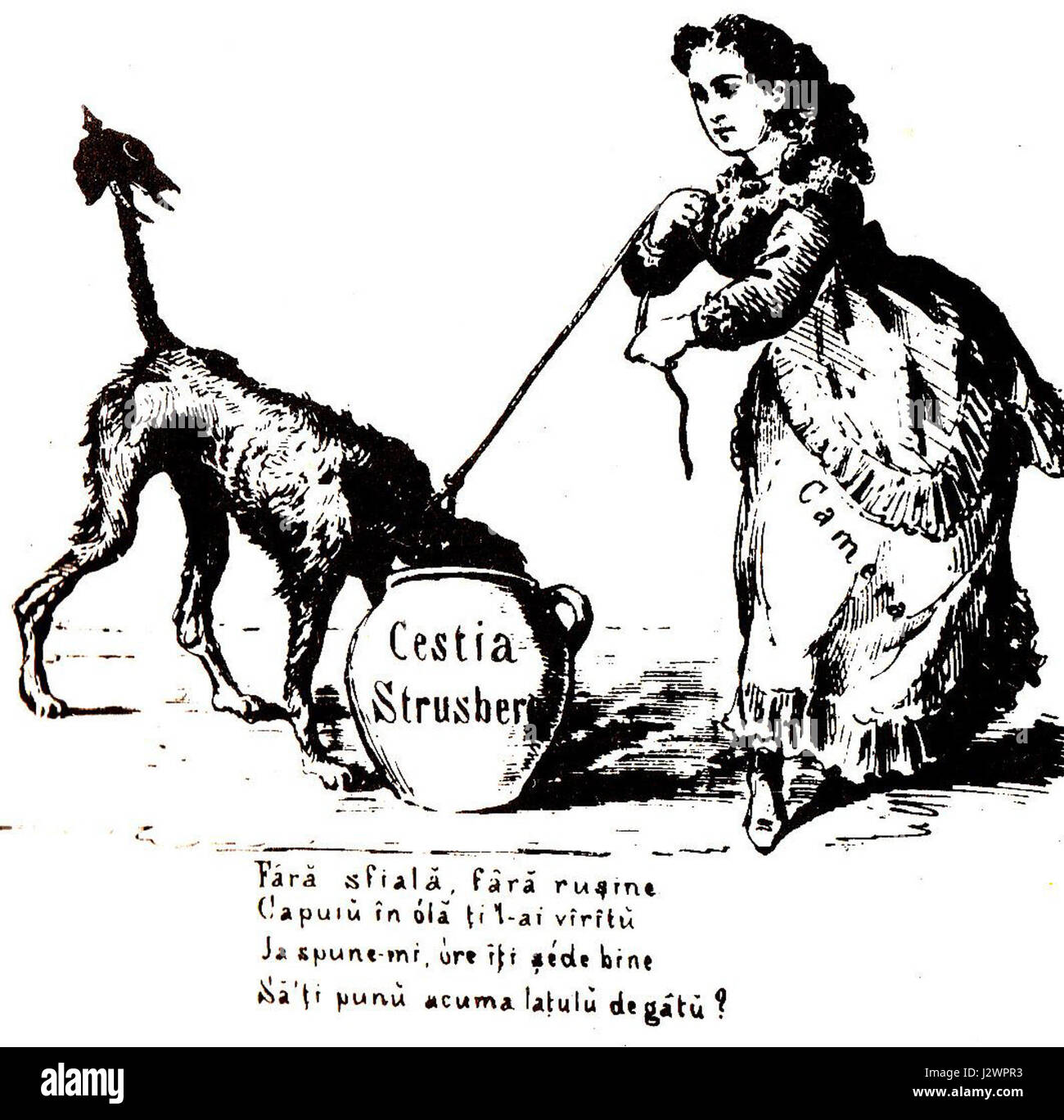 Cestia Strousberg, Ghimpele, May 7 1871 MI oct72 Stock Photo - Alamy