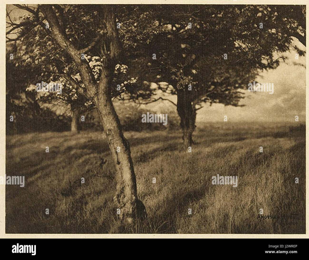 Alfred Horsley Hinton was a British artist and photographer known for ...