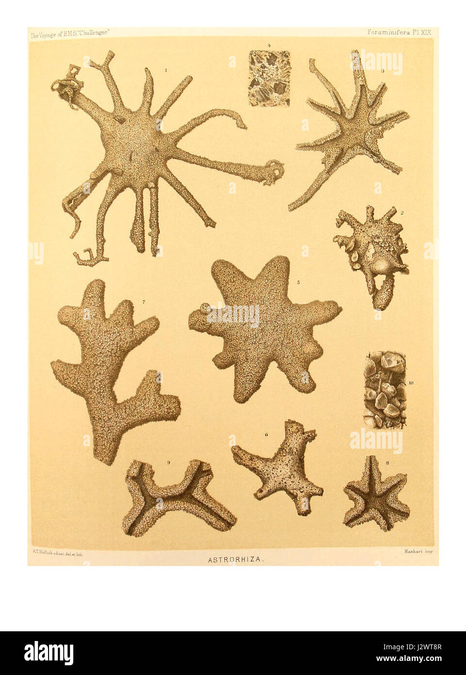 Observations data Cut Out Stock Images & Pictures - Alamy