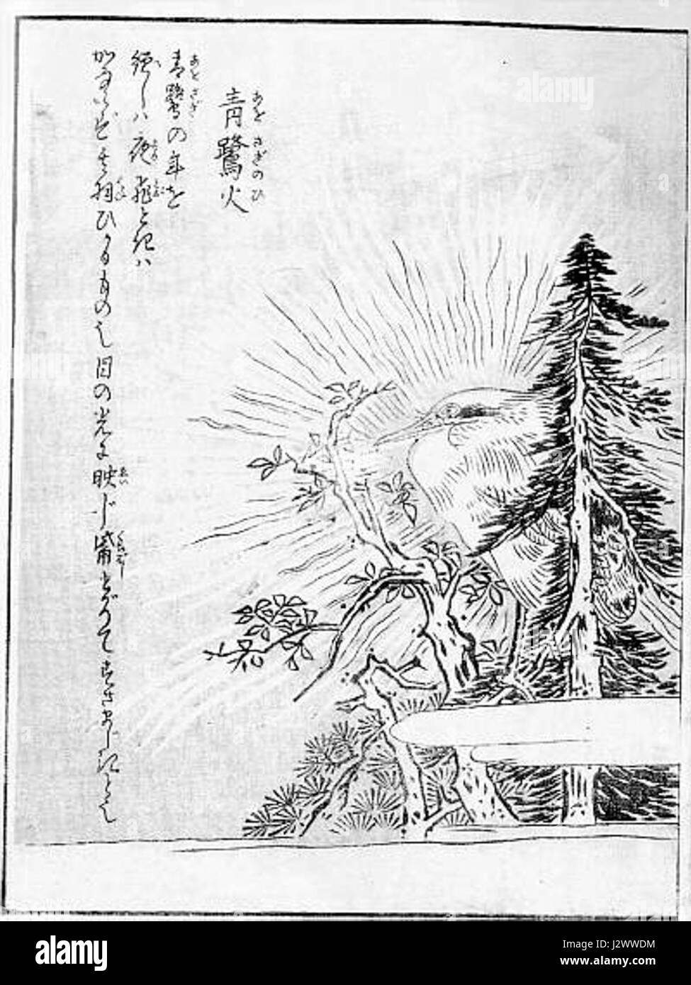 Aosagibi is a traditional Japanese term for a type of bird, often ...