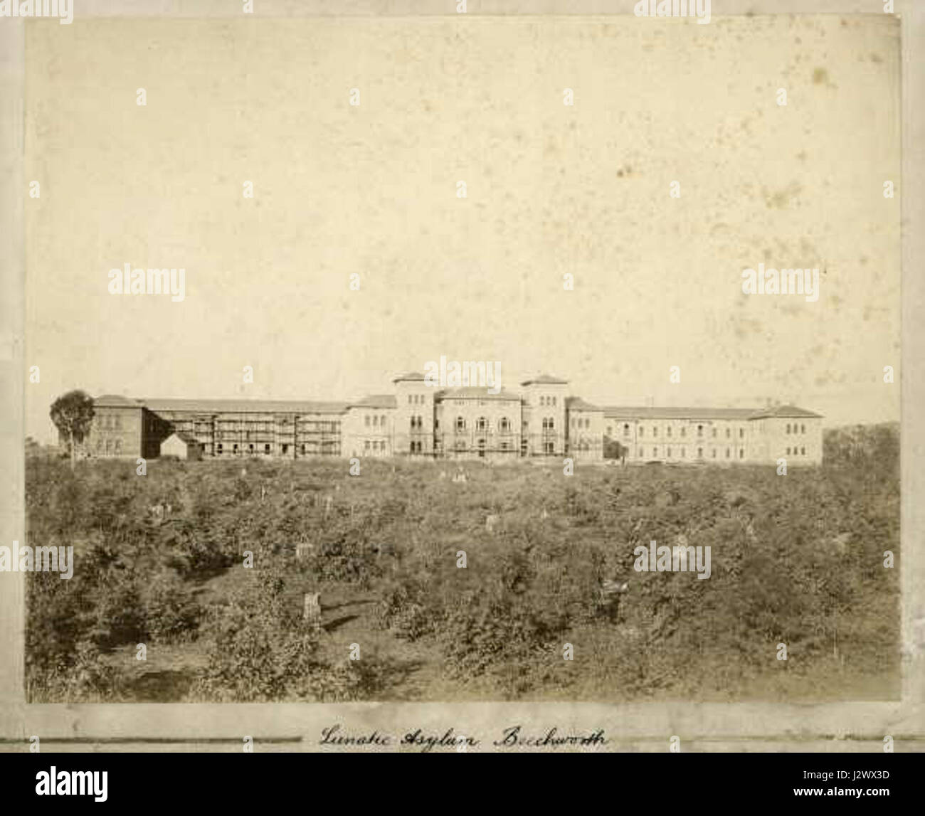 Australian psychiatric care hi-res stock photography and images - Alamy