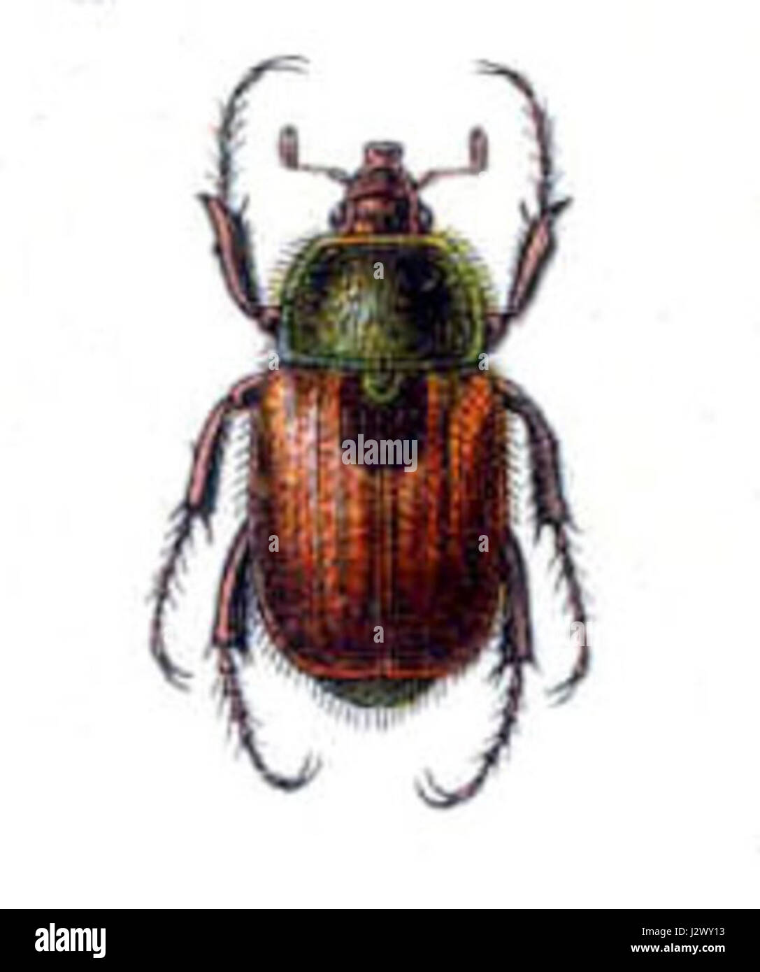 Belarus lithuania Cut Out Stock Images & Pictures - Alamy