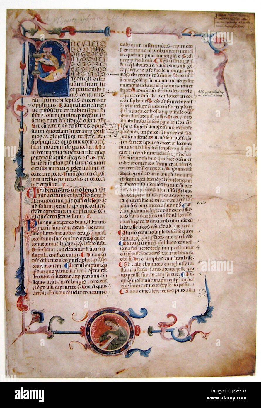 Ampl hi-res stock photography and images - Alamy