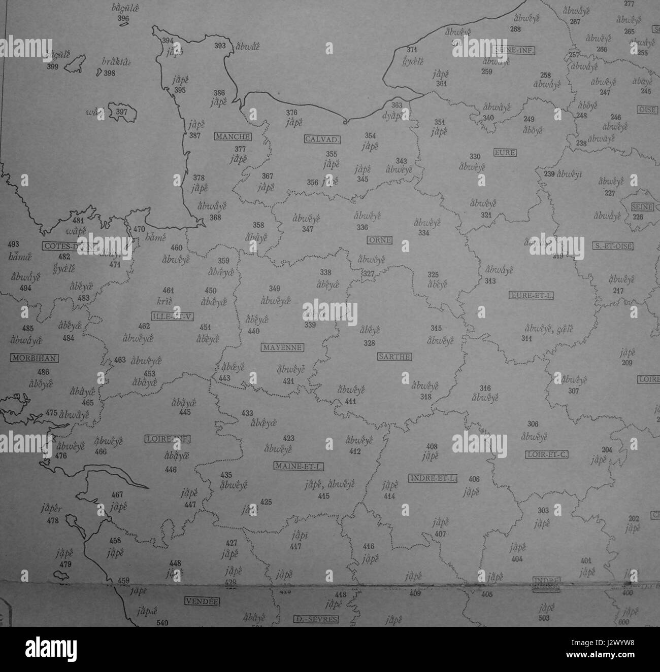 Animal vocal signals hi-res stock photography and images - Alamy