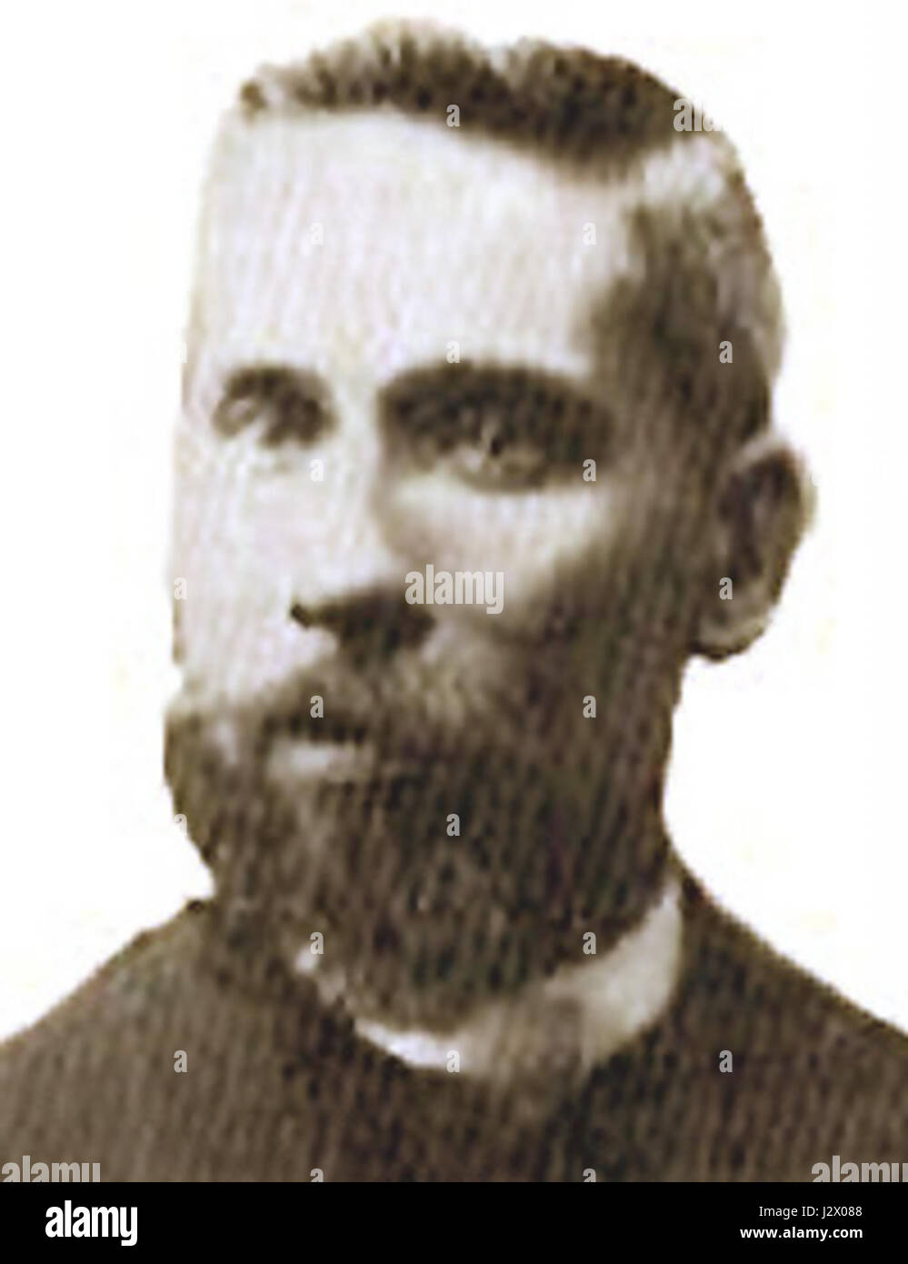 Portrait of Angel Guarello, highlighting his contributions and ...
