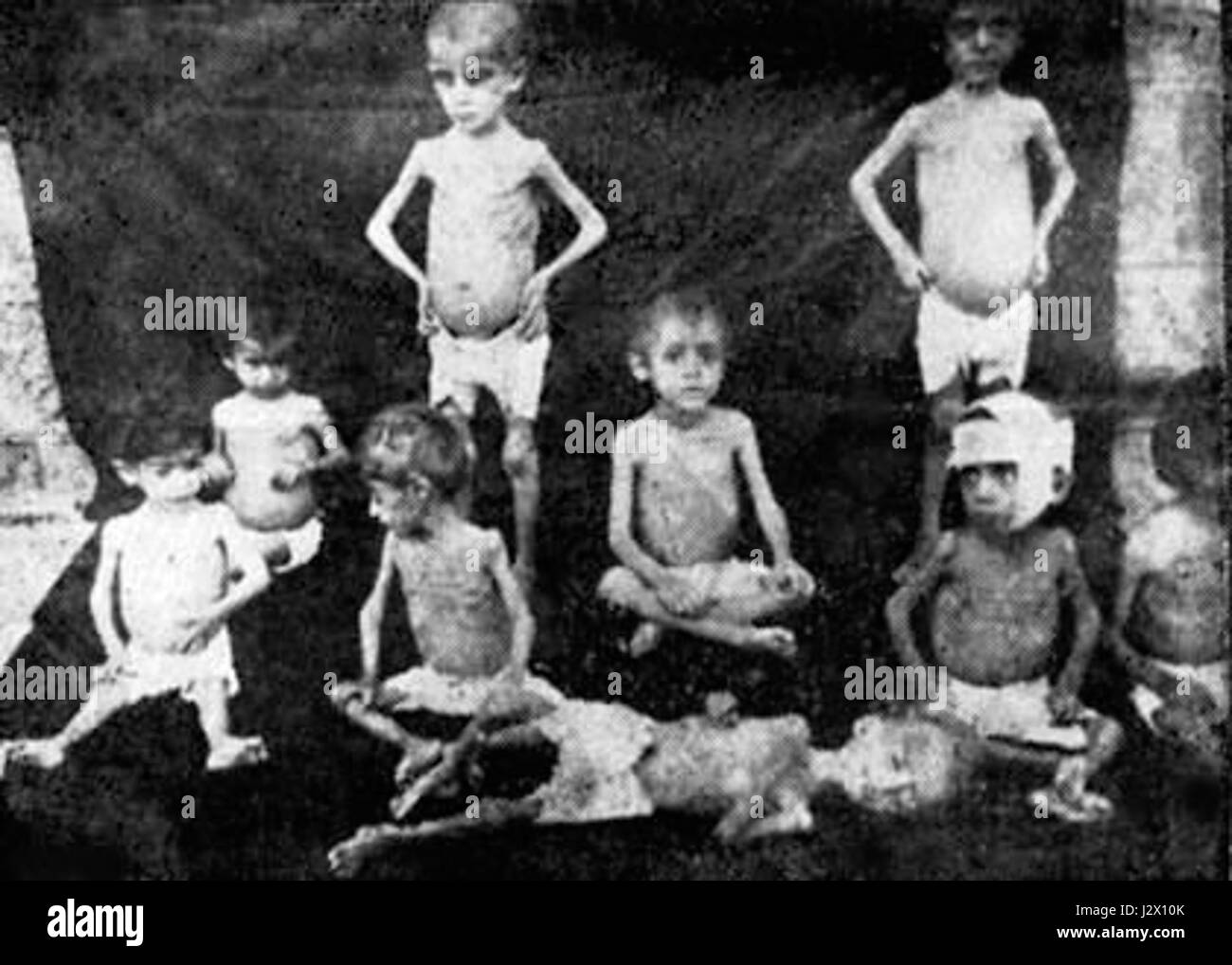 The Armenian Genocide, also known as the Armenian Holocaust, took place ...