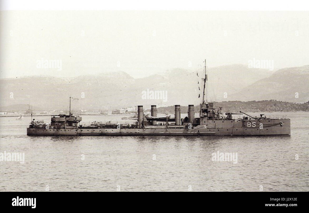 The Bisson was a French destroyer commissioned in the early 20th ...