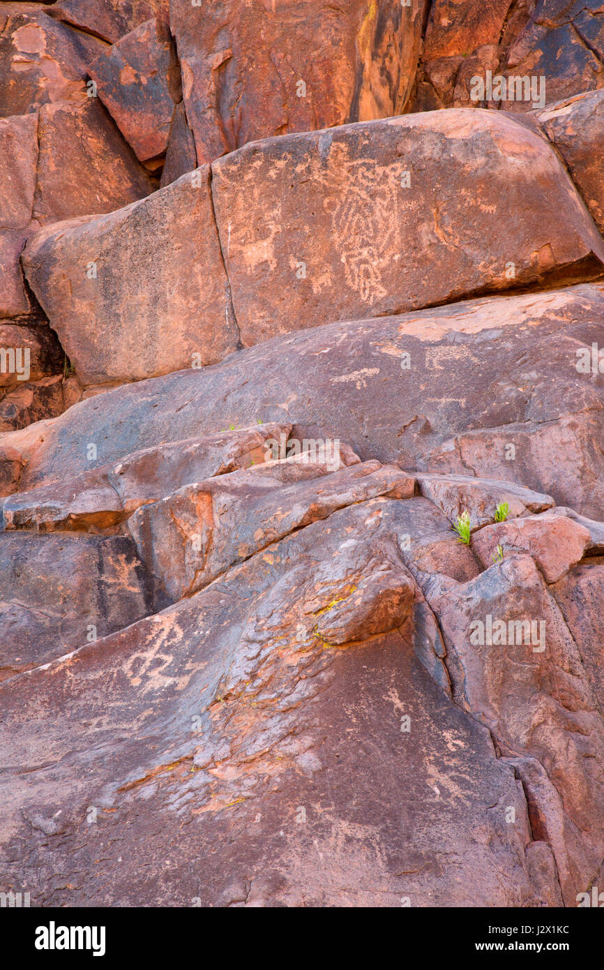 Superstition mountains petroglyphs hi-res stock photography and images ...