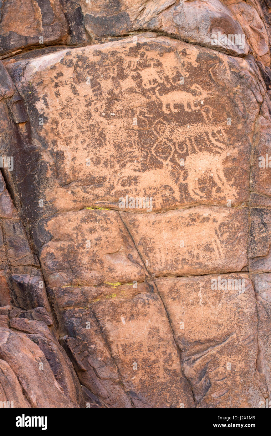 Superstition mountains petroglyphs hi-res stock photography and images ...