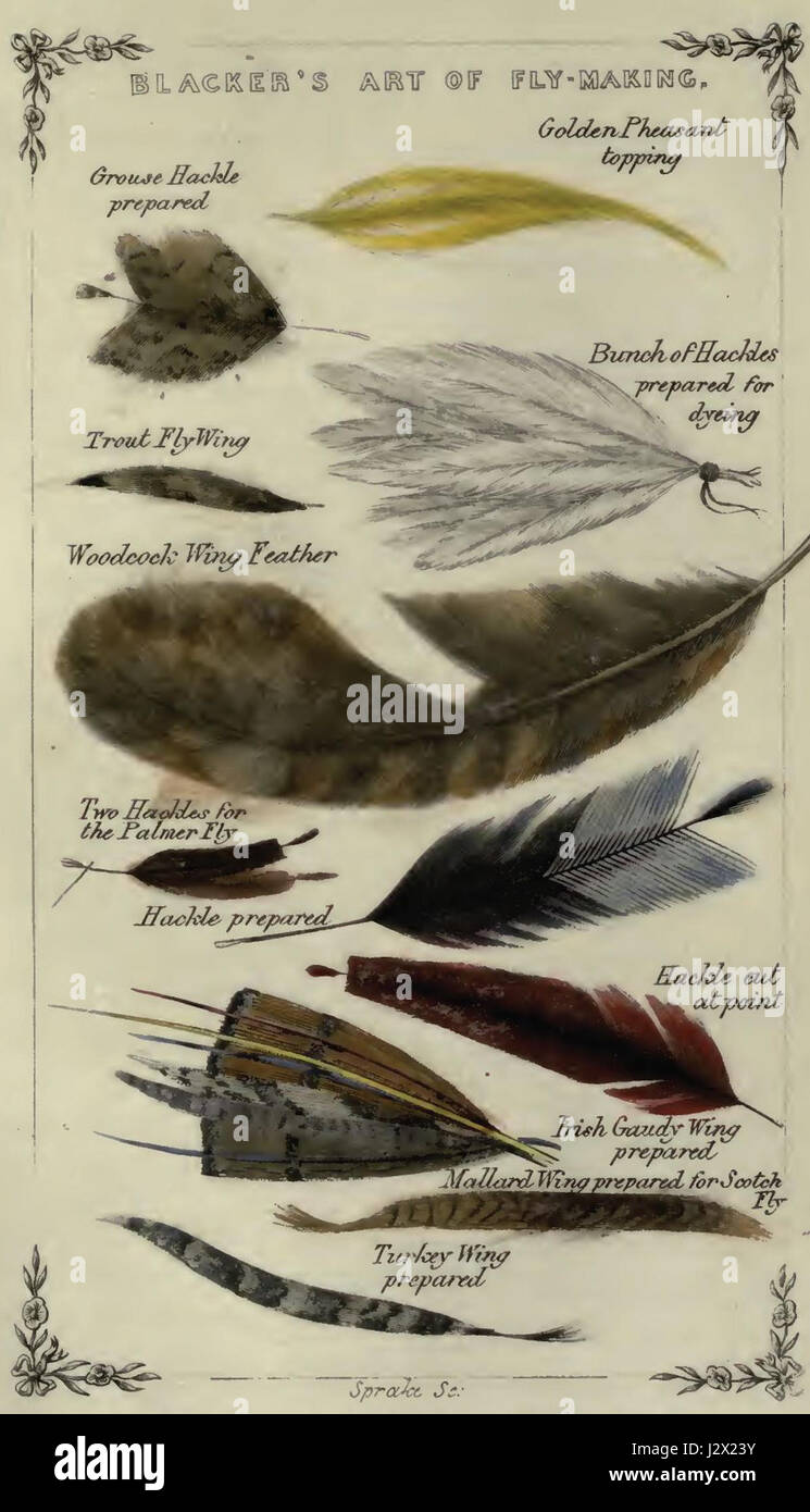 Blackers The Plate of Feathers Stock Photo - Alamy