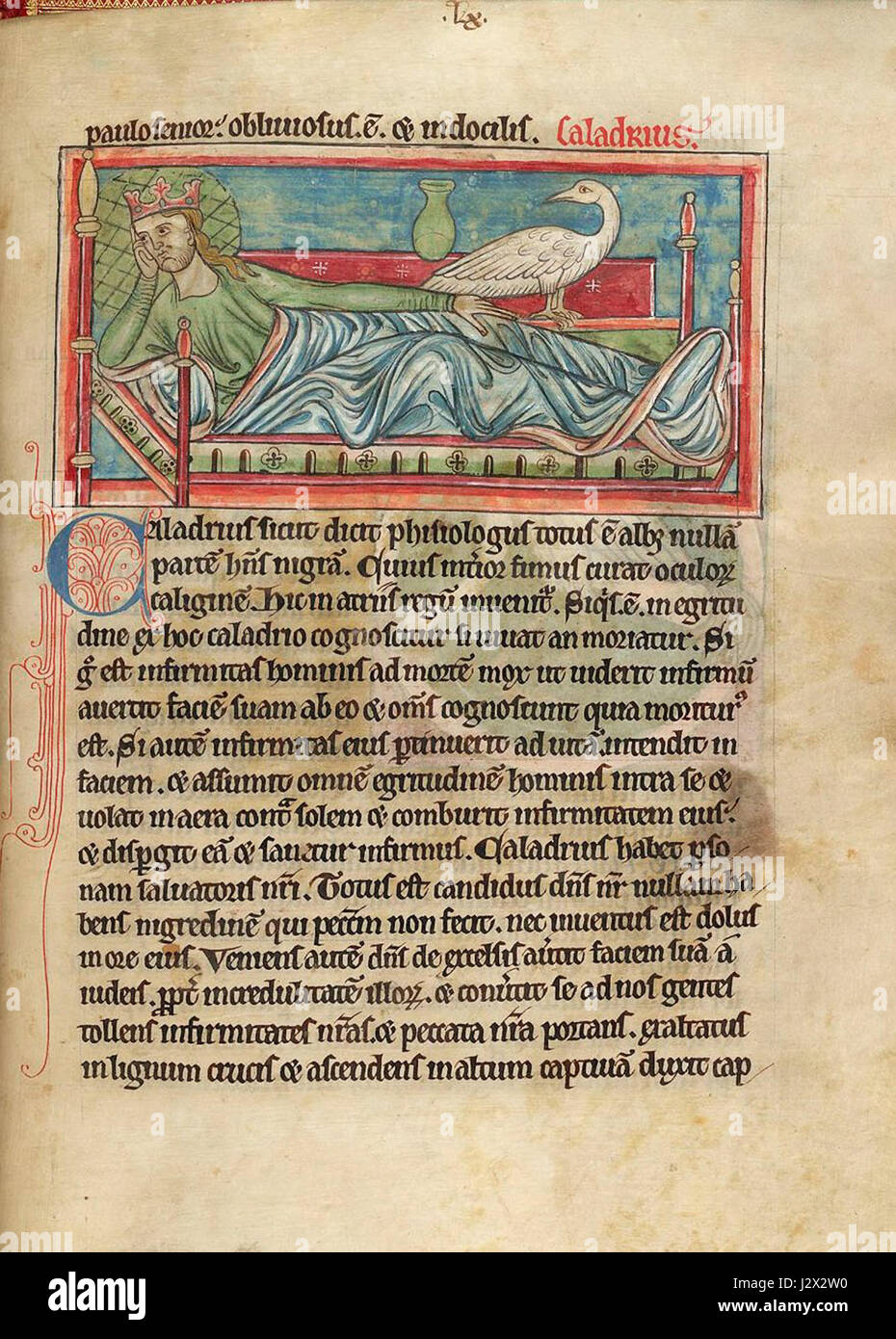 Caladrius hi-res stock photography and images - Alamy