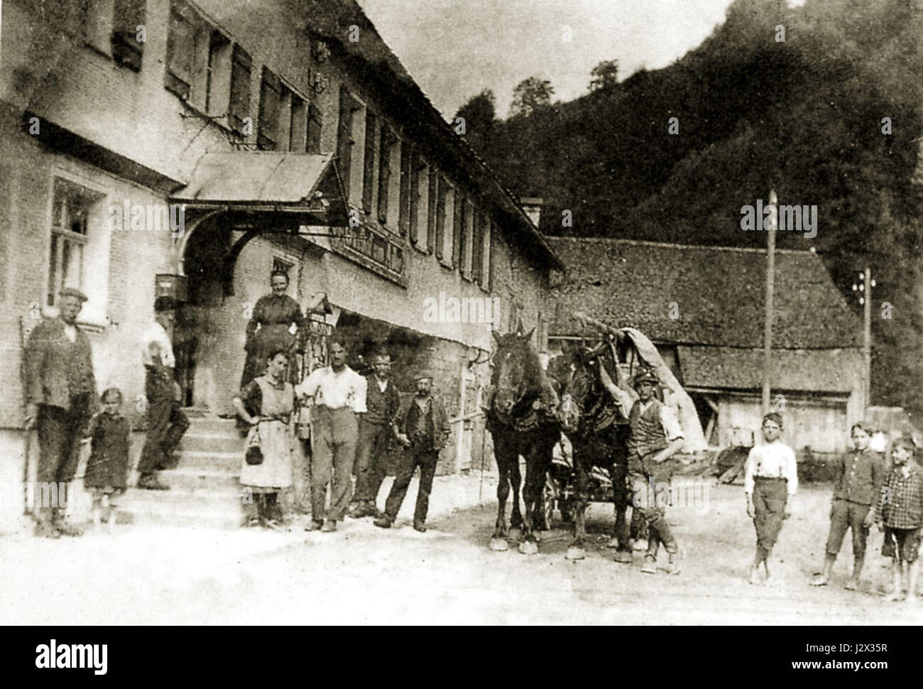 Adler Schnepfau is a historical photograph of a bird species from the ...