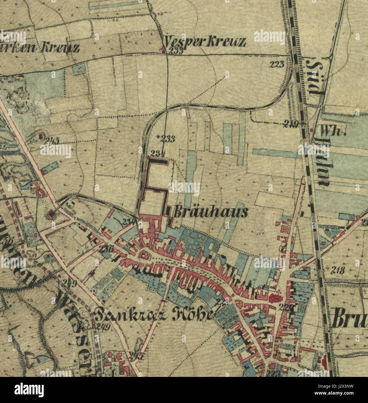 Crop brunner hi-res stock photography and images - Alamy