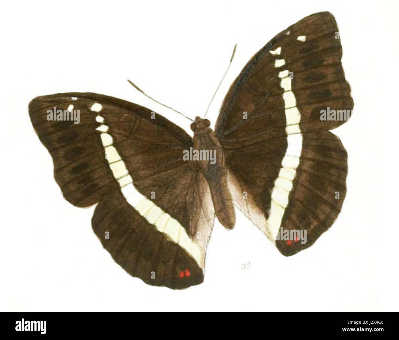 Mapping based Cut Out Stock Images & Pictures - Alamy