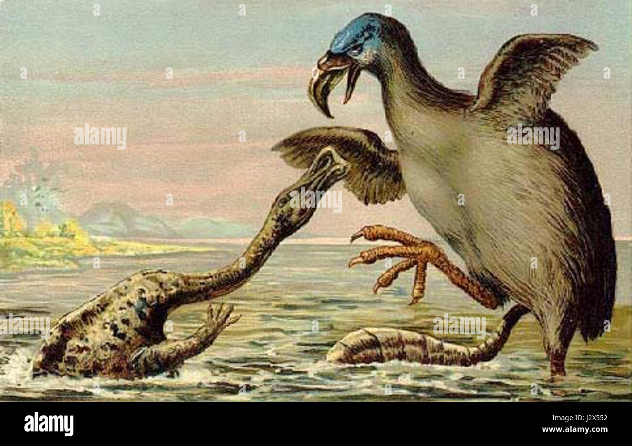 Brontornis VS. Hadrosaur Stock Photo - Alamy
