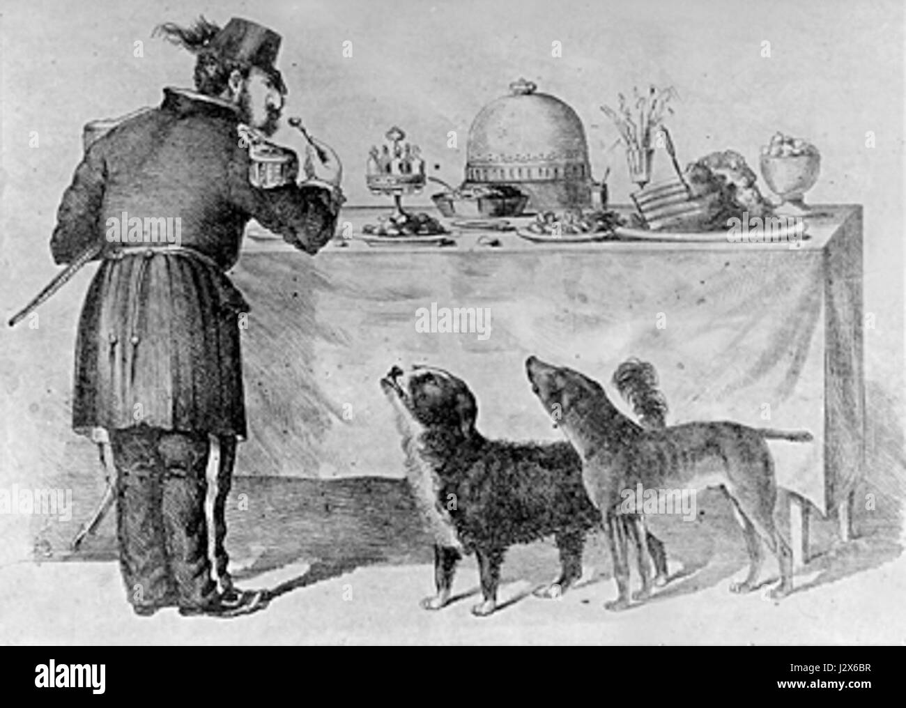 Bummer and Lazarus were two famous dogs from San Francisco, known for ...