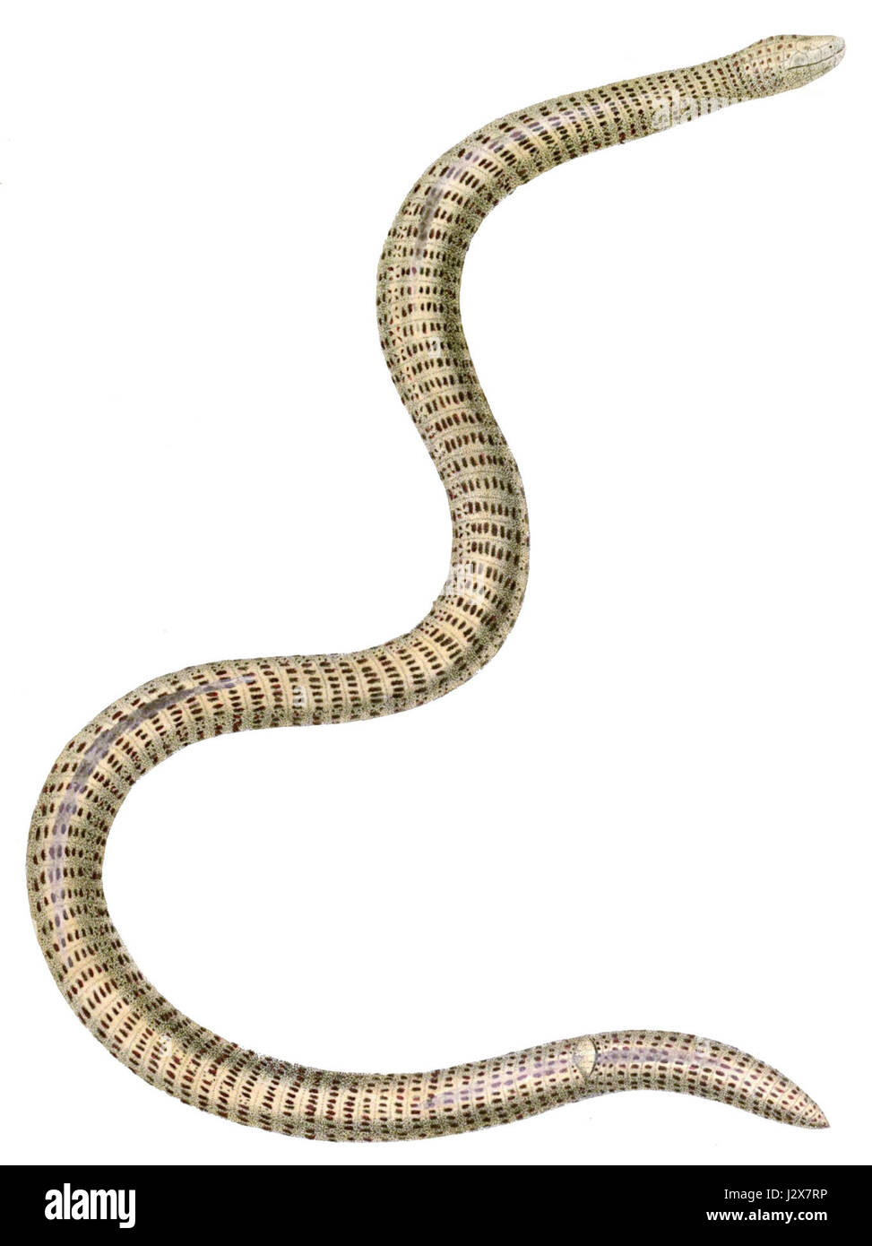 Europe north africa on hi-res stock photography and images - Alamy